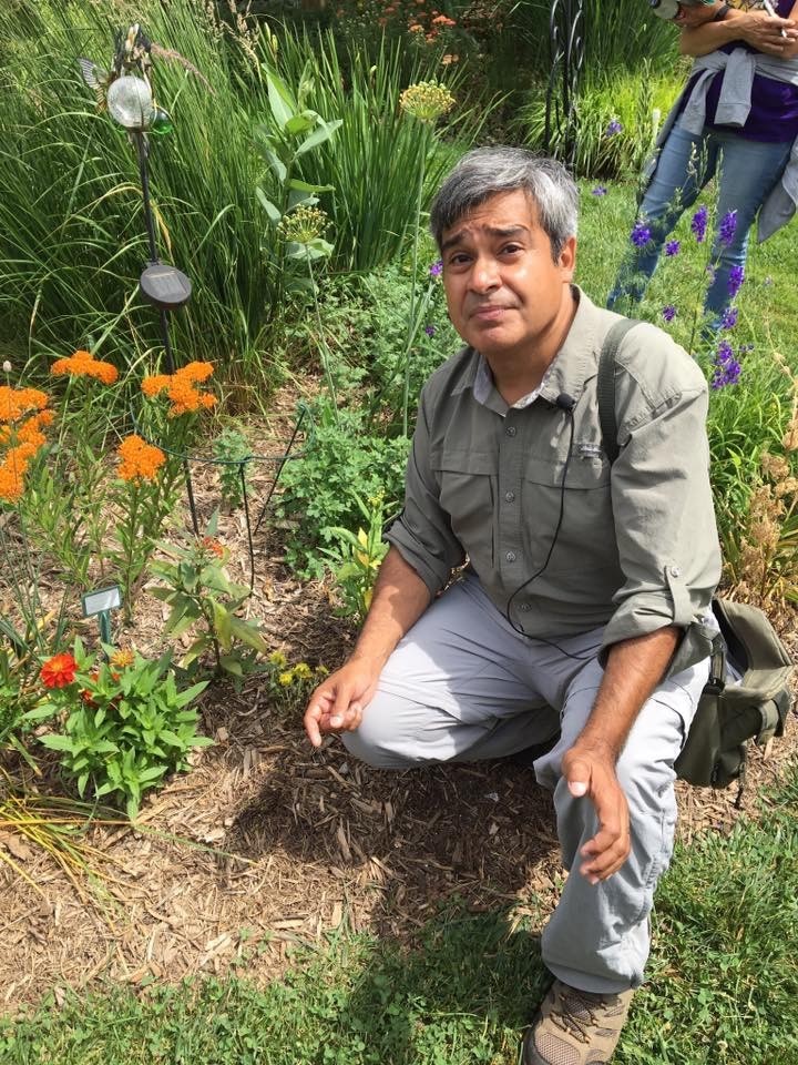 Ethnobotany and Floral Folklore, a Zoom Presentation with Alonso ...